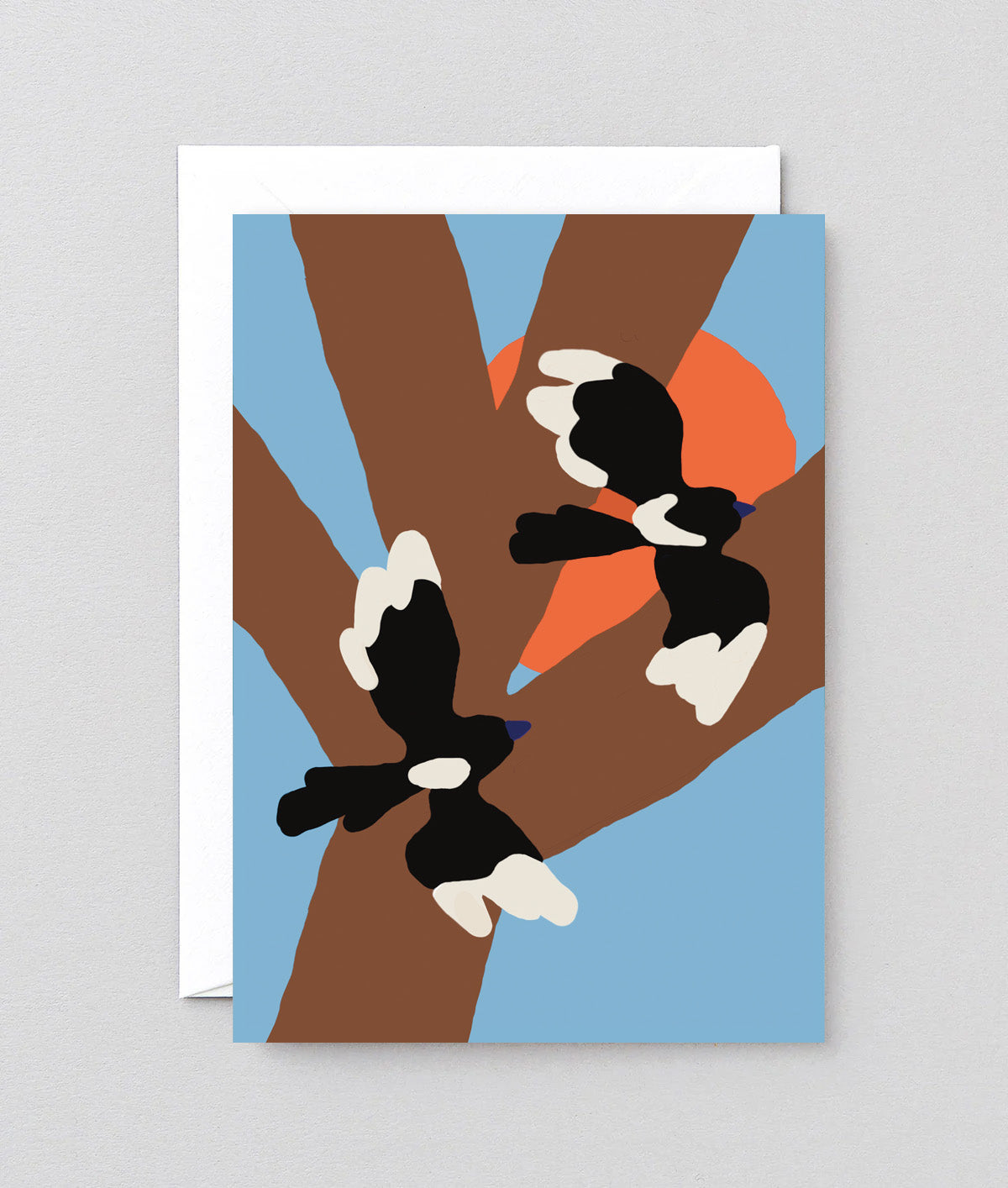 Magpies – Wrap Wholesale